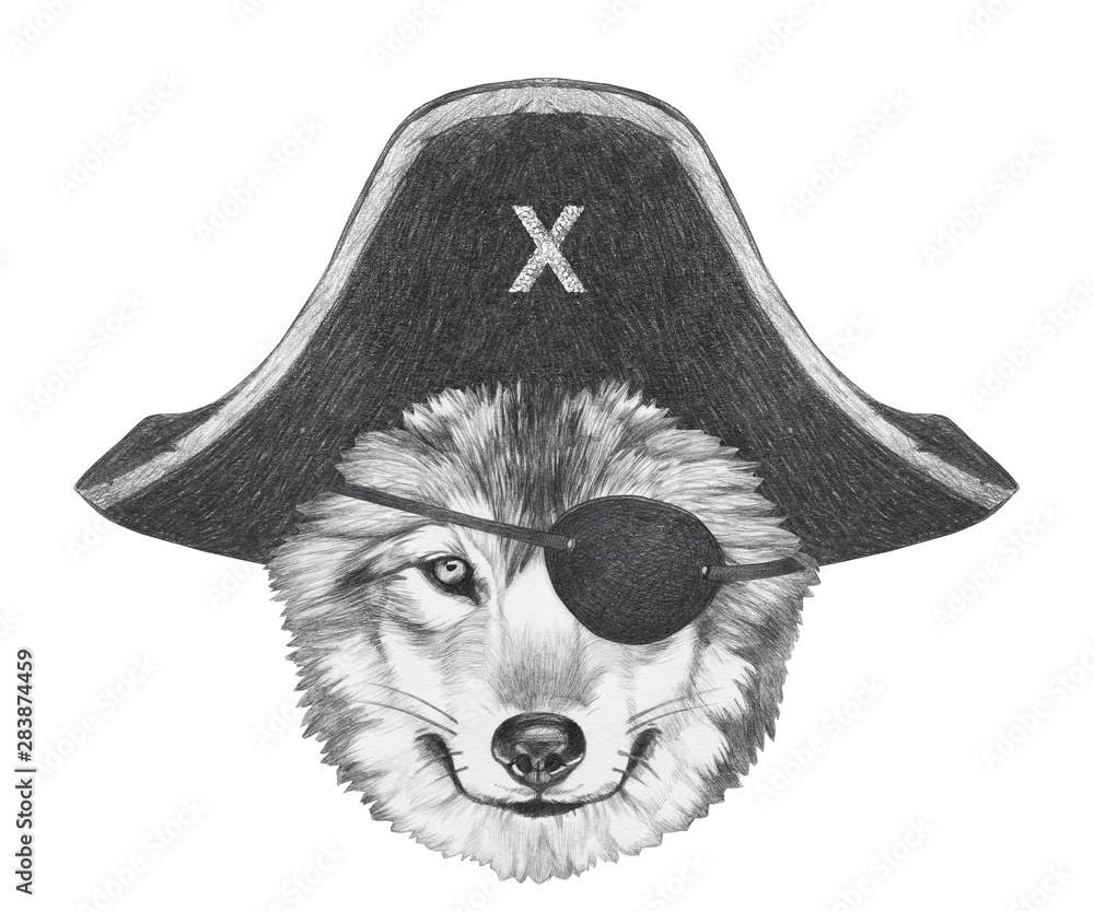 Portrait of Wolf with pirate hat and eye patch. Hand-drawn illustration ...