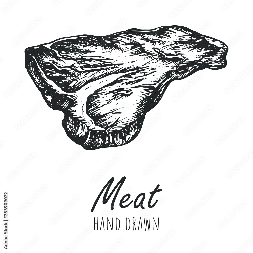 t bone steak vector