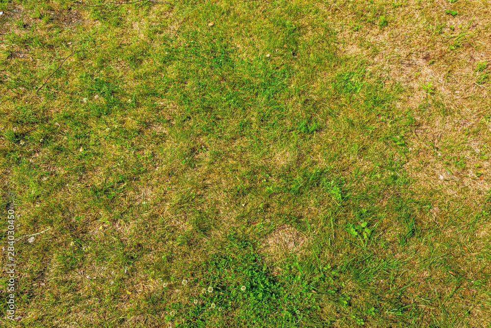 View of rough natural soil. Yellow sand and green grass texture ...