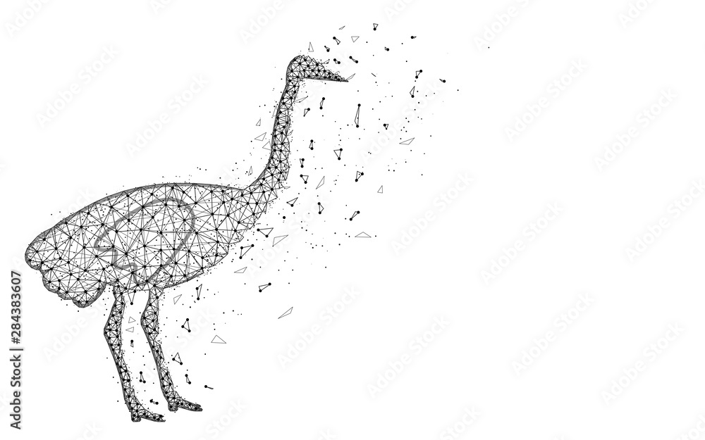 Ostrich low poly design, African animal abstract geometric image, bird ...