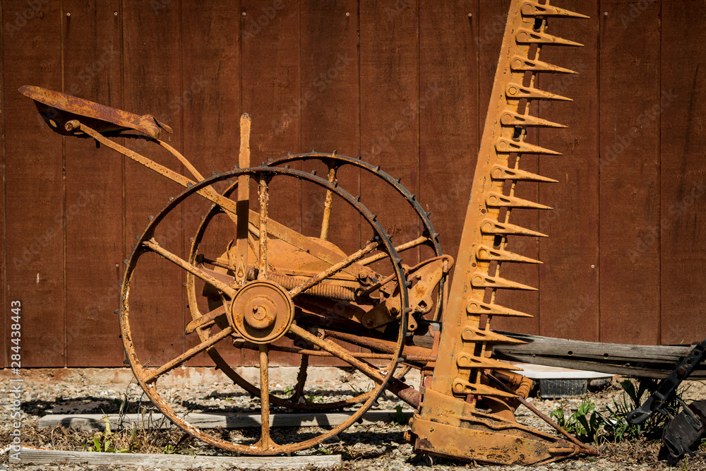USA, California, Central Valley, San Joaquin River Valley, Vernalis ...