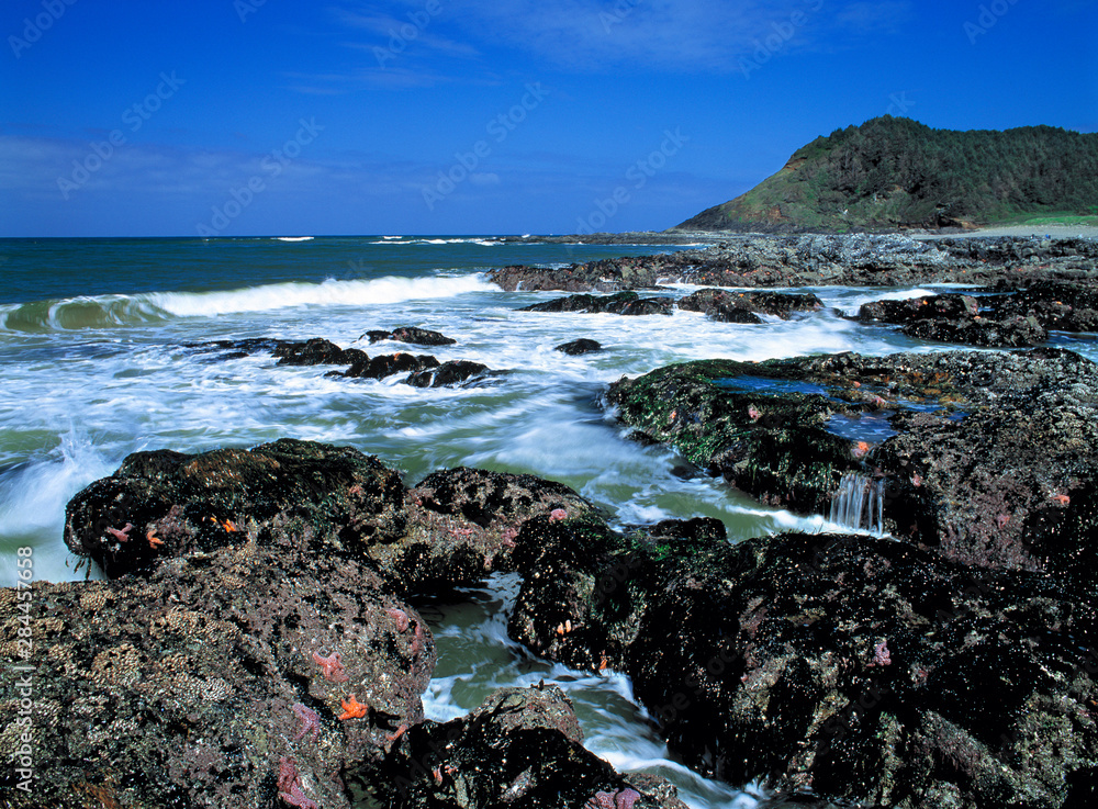 USA, Oregon, Nepture SP. The tide pools of Neptune State Park, on ...