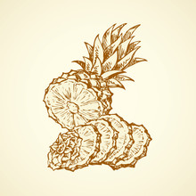 Pineapple Line Drawing Free Stock Photo - Public Domain Pictures