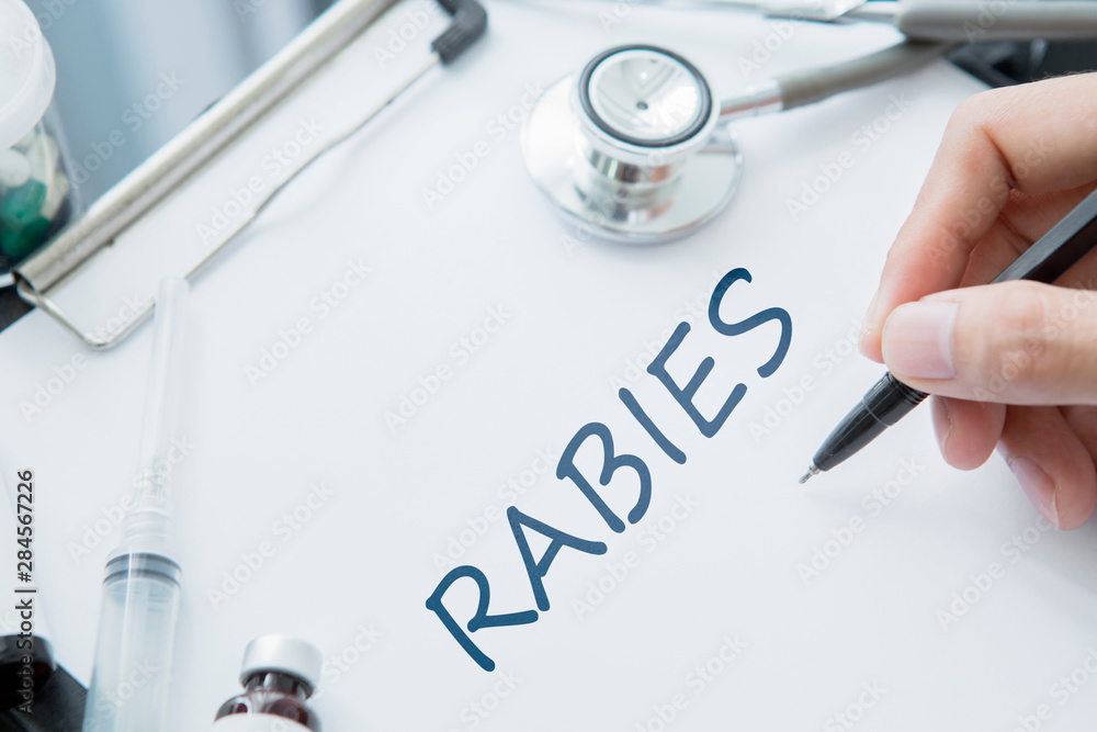 Doctor hands writing Rabies disease on the paper Stock Photo | Adobe Stock
