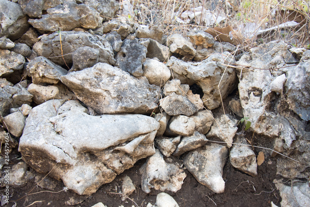 Granular limestone rock surface. Roe stone rock surface. Limestone crag ...