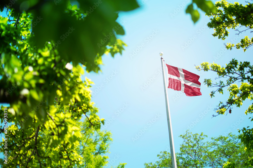 Denmark flag, Danish flag waving in the wind between trees Stock Photo ...