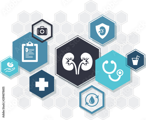 nephrology / dialysis / kidney disease treatment icon concept – vector ...