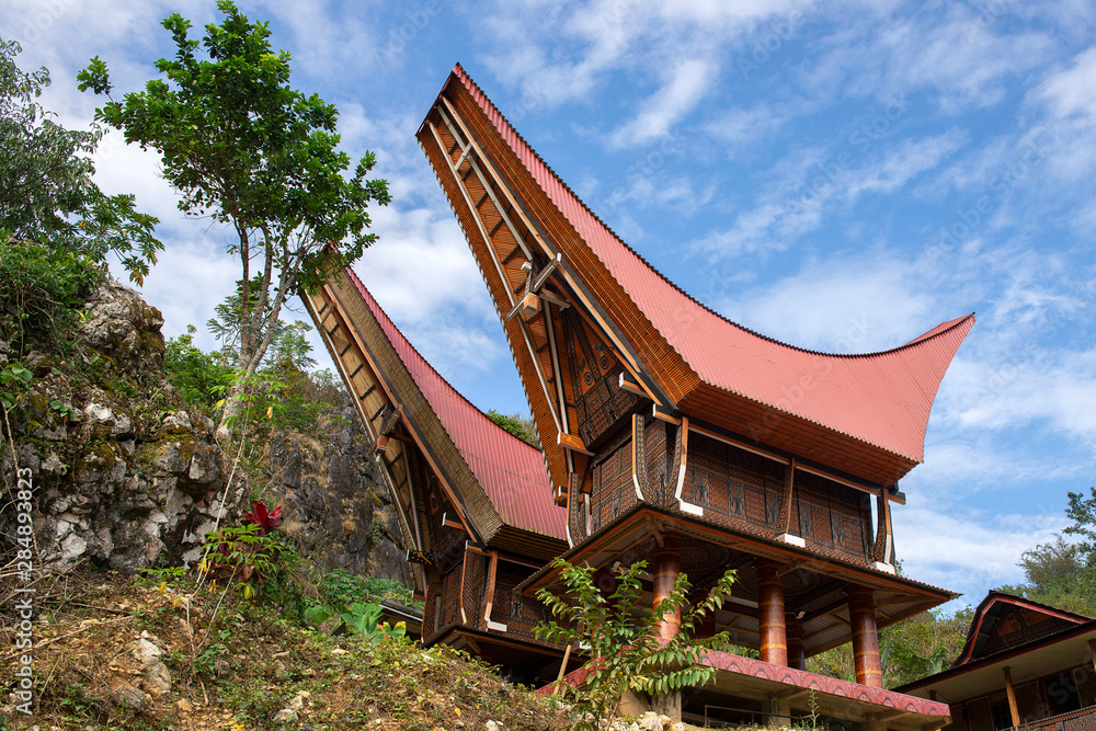 Tongkonan houses, traditional Torajan buildings, Tana Toraja is the ...