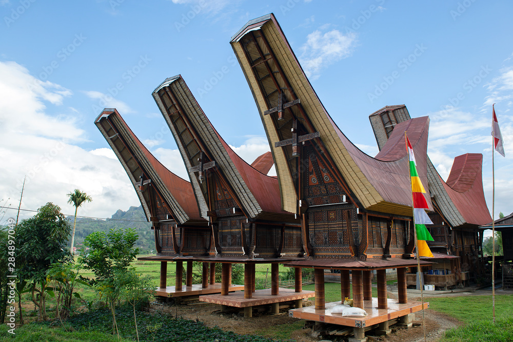 Foto de Stock Tongkonan houses, traditional Torajan buildings, Tana ...