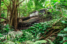 Jungle Jeep Free Stock Photo - Public Domain Pictures