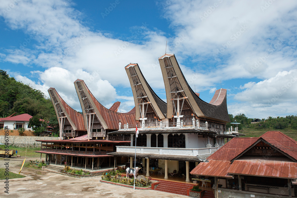 Tongkonan houses, traditional Torajan buildings, Tana Toraja is the ...
