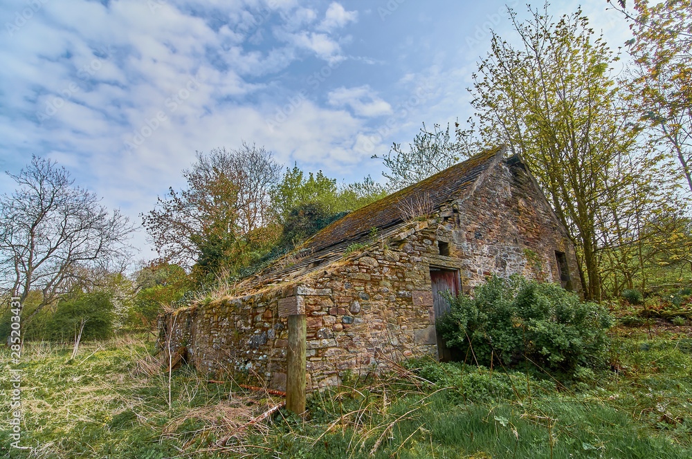 Side View of a derelict stone Scottish cottage, overgrown and in a bad ...