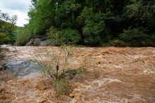Violent River Free Stock Photo - Public Domain Pictures