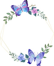 Butterfly Frames Clip-art Free Stock Photo - Public Domain Pictures