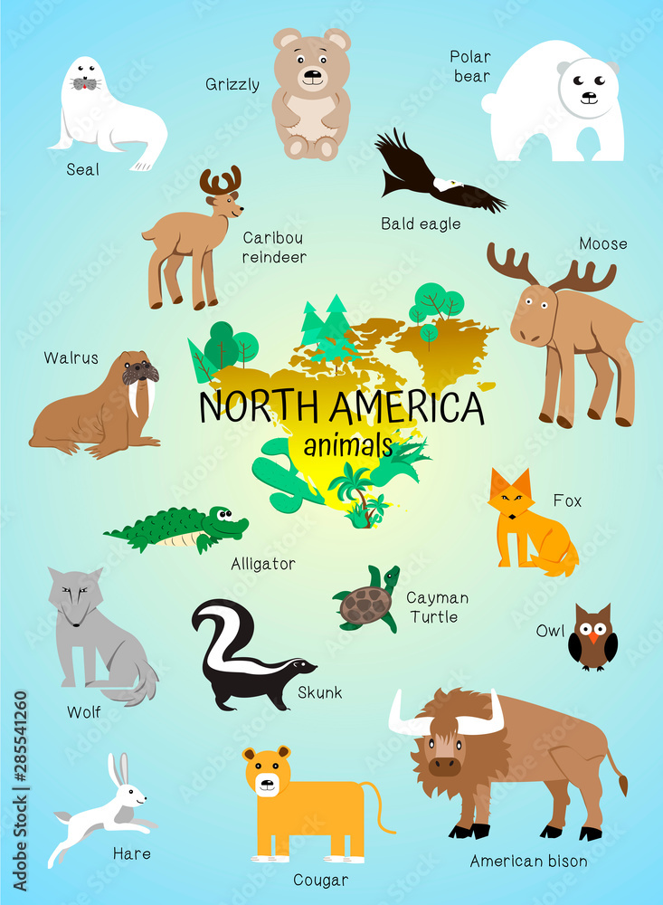 Animals North America. poster for children, preschoolers, kindergartens ...