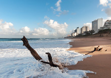 Umhlanga Skyline Free Stock Photo - Public Domain Pictures