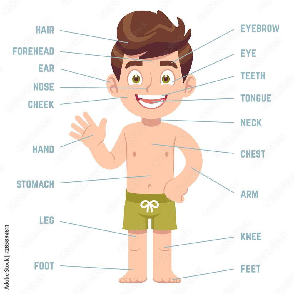 Child body parts. Boy with eye, nose and mouth, hair, ear and callouts ...
