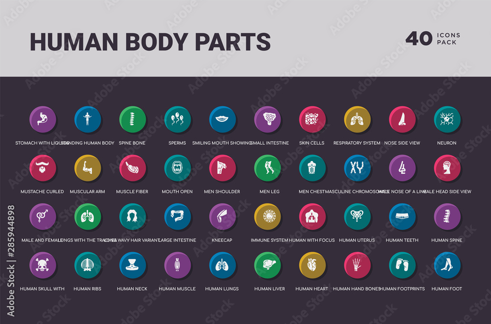 human body parts concept 40 colorful round icons set Stock Vector ...