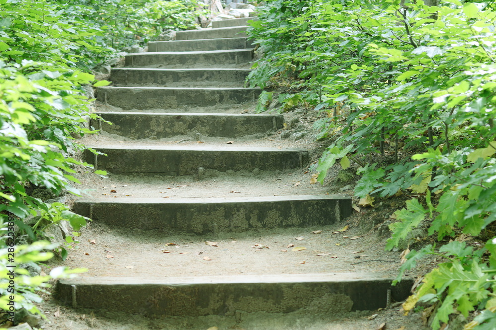 Escaleras Collage Camino De La Naturaleza Con Una Gran Recepción Y