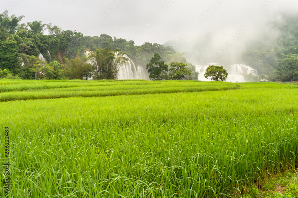 Foto de Stock Ban Gioc or Detain waterfall flow down fluted is famous ...