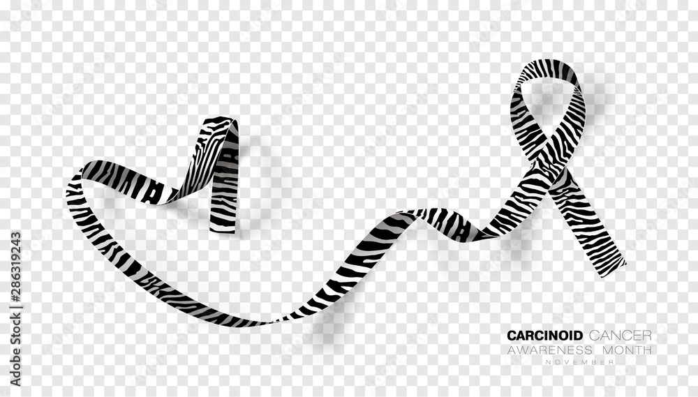 Carcinoid Cancer Awareness Month. Zebra Stripe Color Ribbon Isolated On ...