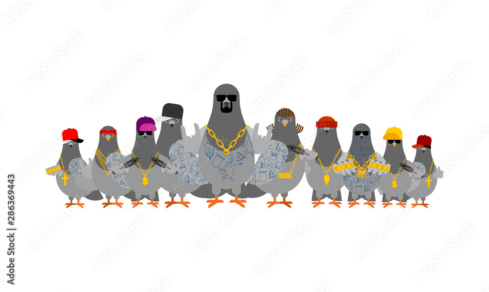 Pigeon gangster gang set. Cool City bird. SWAG gangsta. Pigeon guy ...