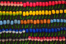 Flower Magnets Free Stock Photo - Public Domain Pictures