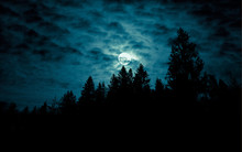 Night Landscape Free Stock Photo - Public Domain Pictures