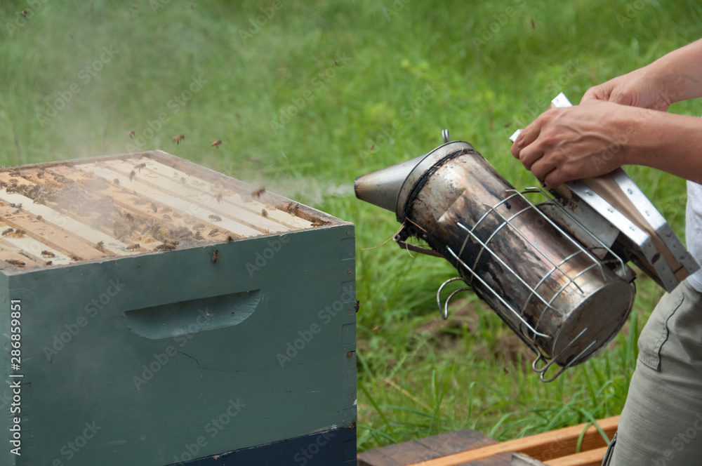 Beehive Box and Beekeeper's Smoker Stock Photo | Adobe Stock