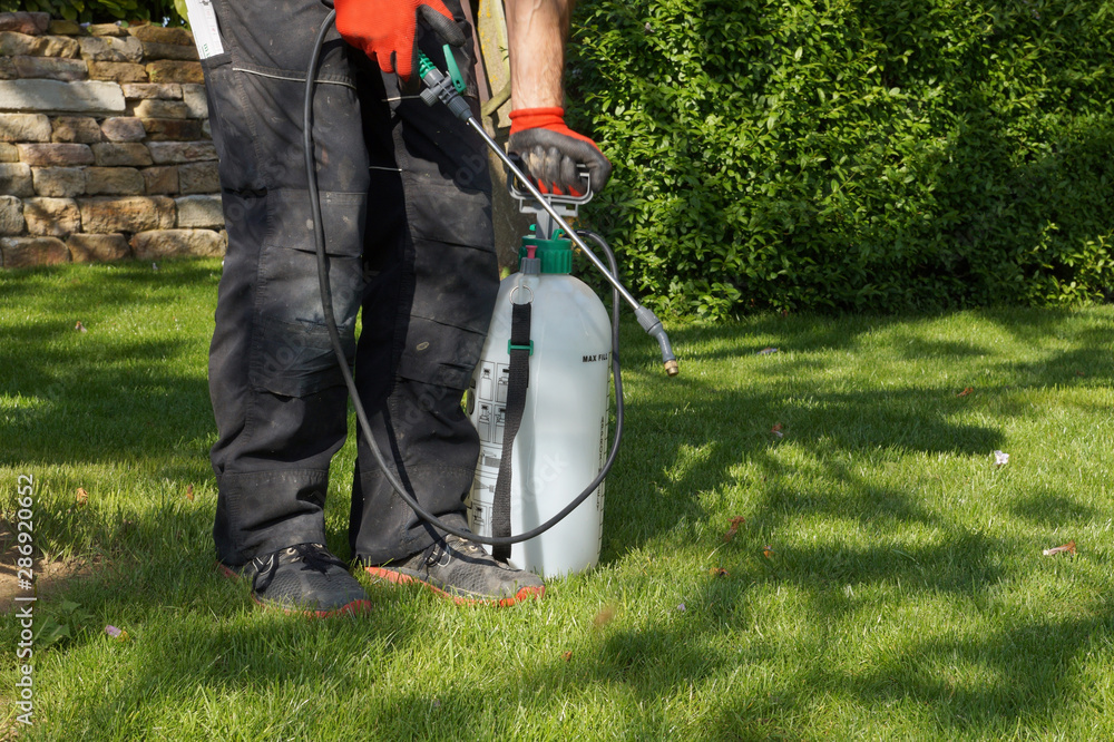 Стокове фото spraying pesticide with portable sprayer to eradicate ...