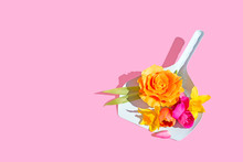 Spring Cleaning Free Stock Photo - Public Domain Pictures