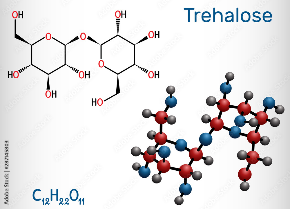 Trehalose, tremalose carbohydrate molecule. Also known as mycose. Is a disaccharide consisting ...