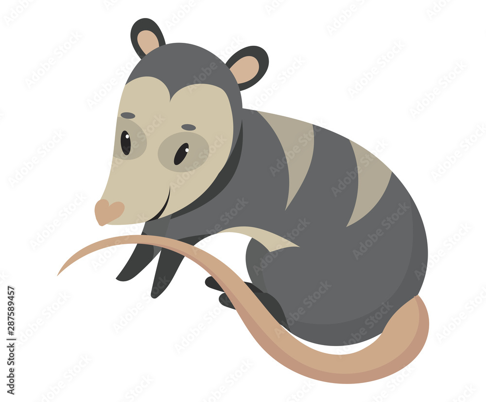 Cartoon possum.Vector illustration of possum. Drawing animal for ...
