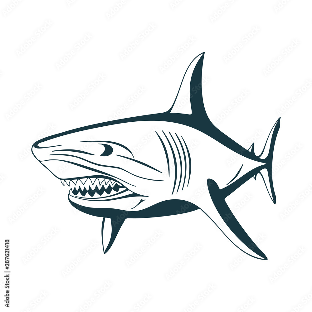 Shark. Sharks hand drawn vector illustrations set. Sketch drawing shark ...