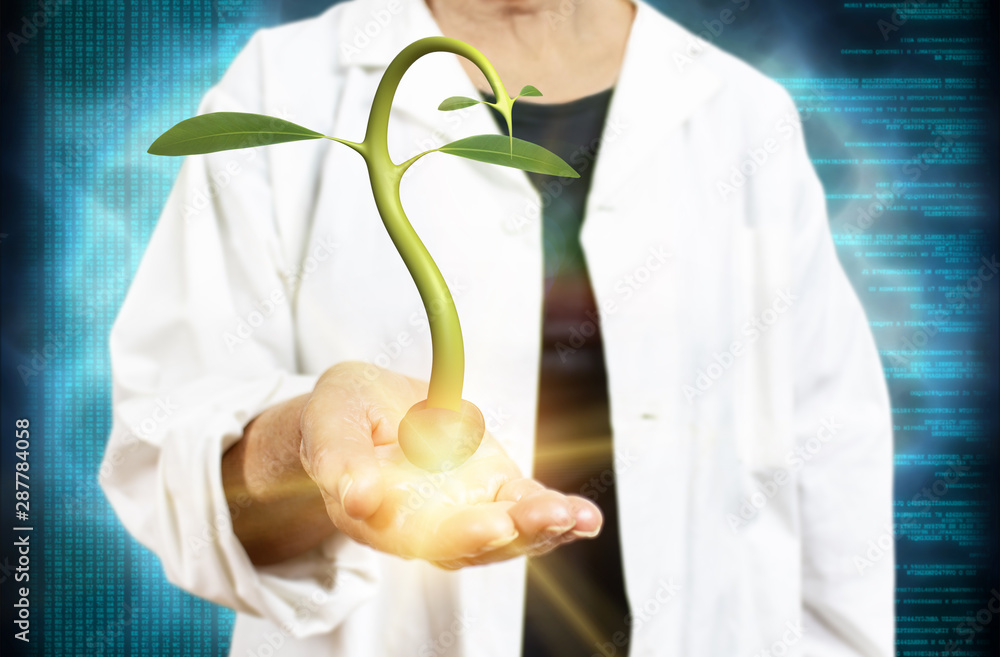 White woman scientist holding germinating seed on a blurred blue ...