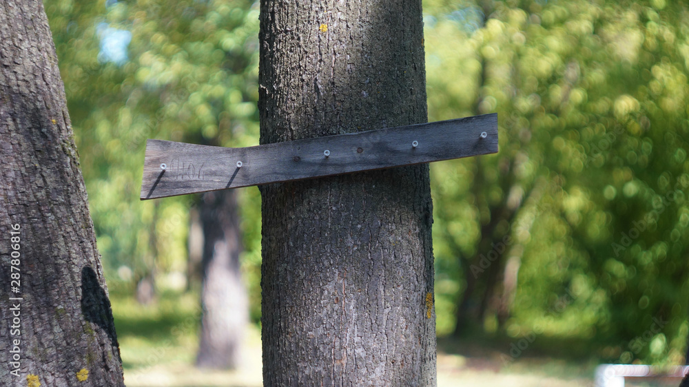 handmade hanger nailed to a tree Stock Photo | Adobe Stock