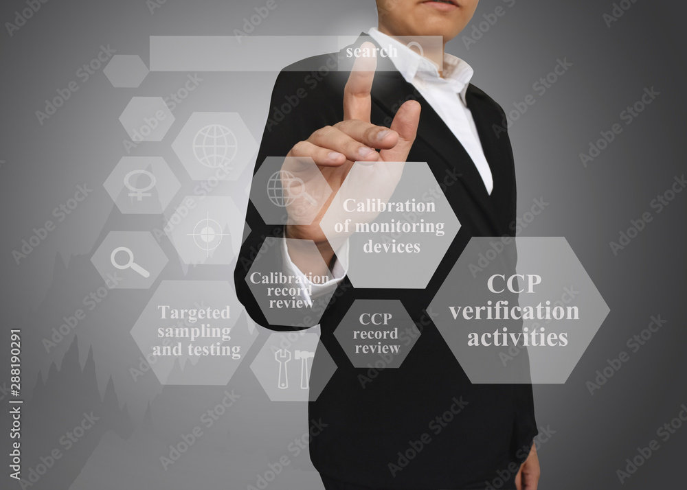 Businesswoman with presentation element of CCP verification activities ...