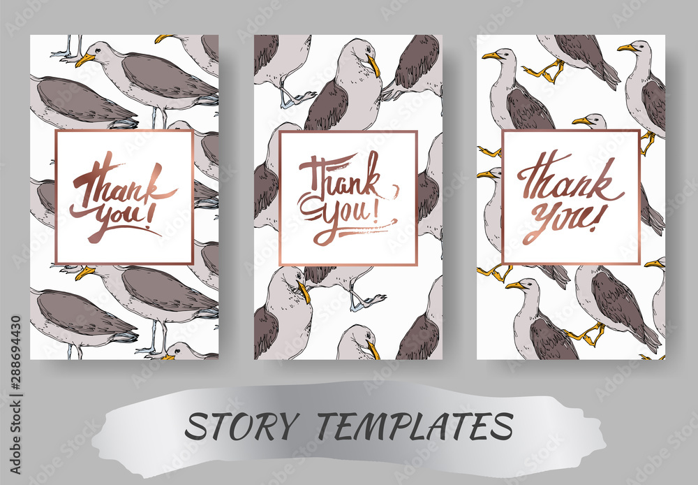 Vector Sky bird seagull in a wildlife. Black and white engraved ink art ...