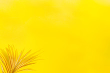 Pure Yellow Background Free Stock Photo - Public Domain Pictures