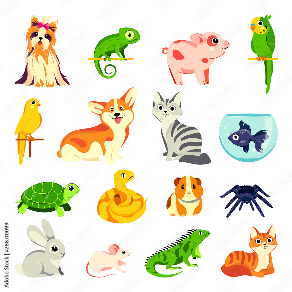 Pets animals set. Vector flat cartoon illustrations. Exotic domestic ...