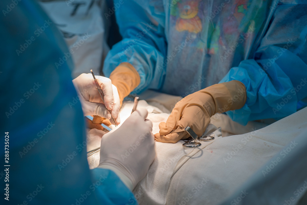 surgical suture. The hands of the surgeon and assistant in a sterile ...