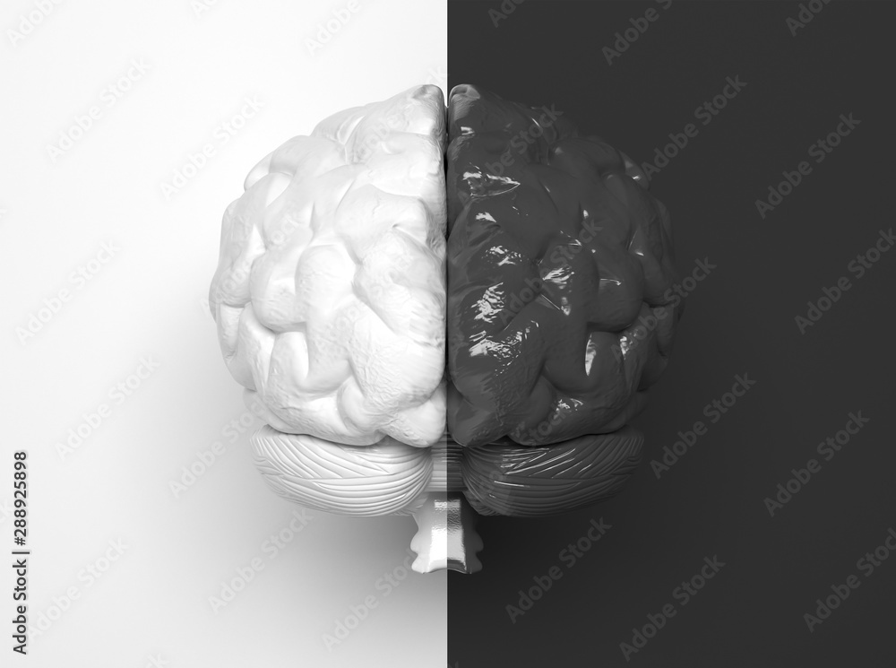 Black and white human brain divided in half into two parts in the ...