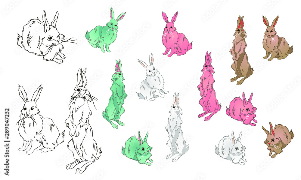 patterns with cute fluffy bunnies standing or sitting, llustration the ...