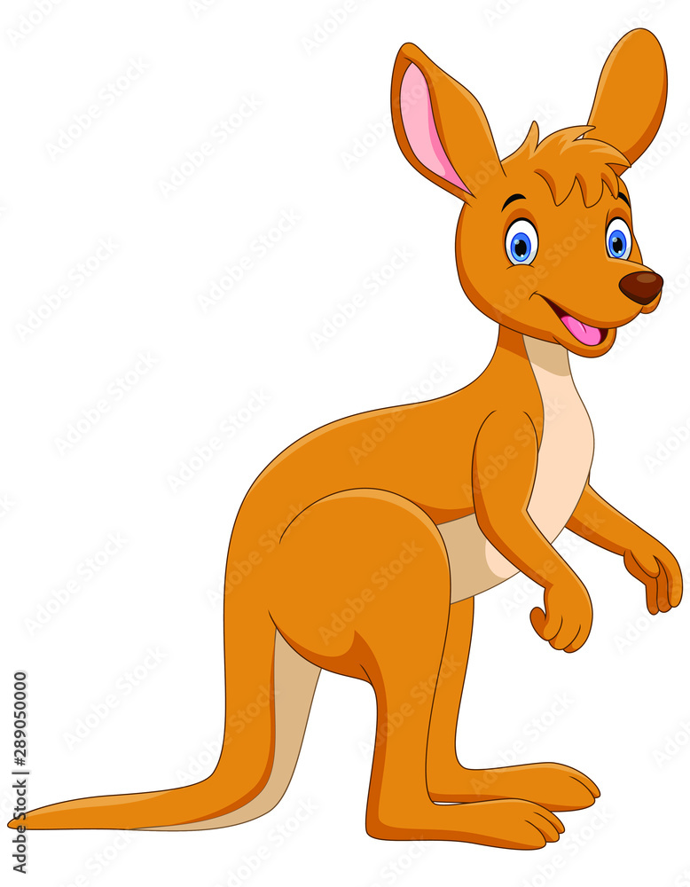 Vector illustration of Cute kangaroo cartoon isolated on white ...