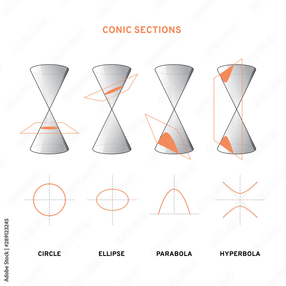 Conic section drawing. Circle, ellipse, parabola, hyperbola. Vector ...
