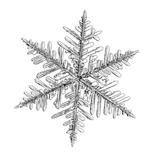 Six Arm Snowflake Free Stock Photo - Public Domain Pictures
