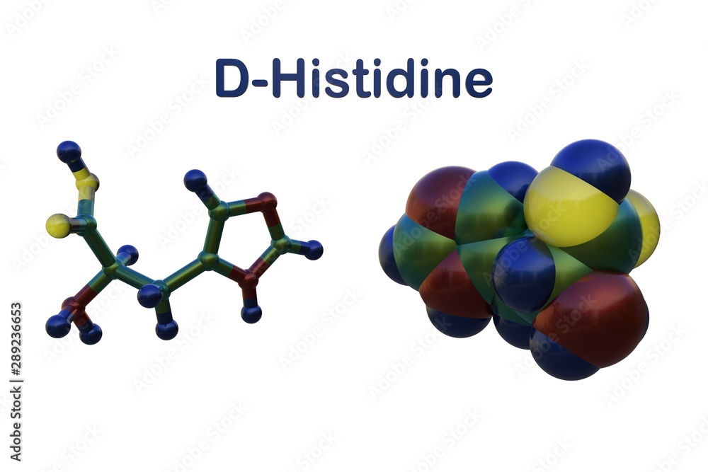 Molecular structure of d-histidine, an optically active form of ...