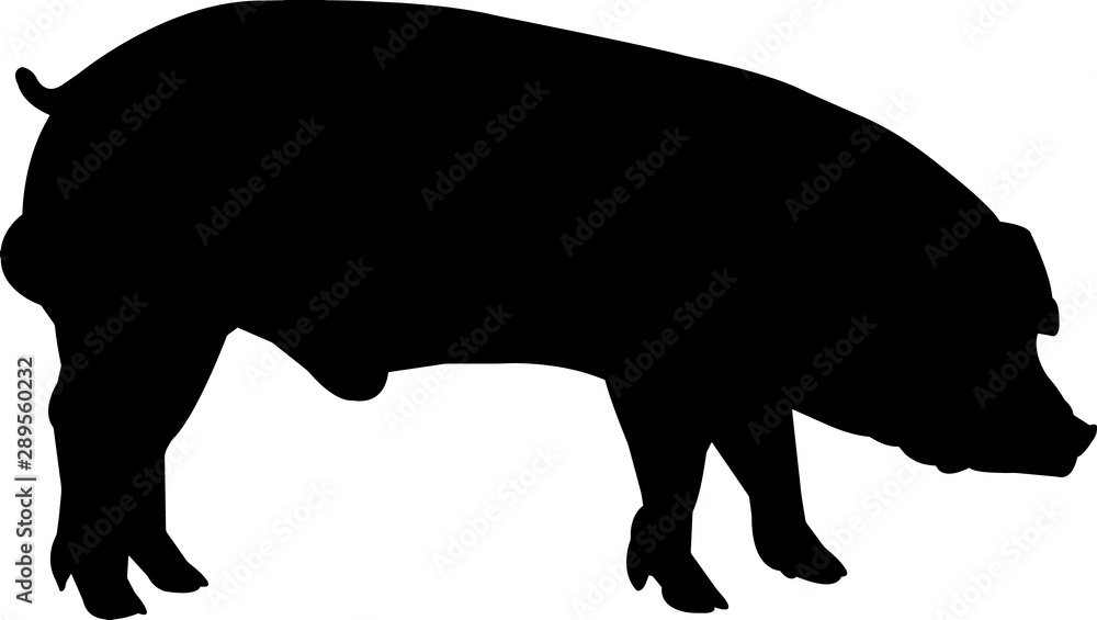 Duroc Pig Vector Silhouette Stock Vector | Adobe Stock