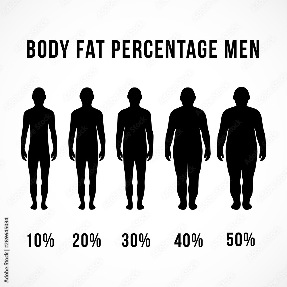 body fat percentage men designs concept vector diets and exercises ...