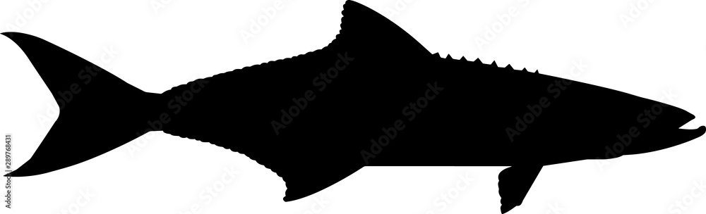 Cobia Fish Silhouette Vector Stock Vector | Adobe Stock
